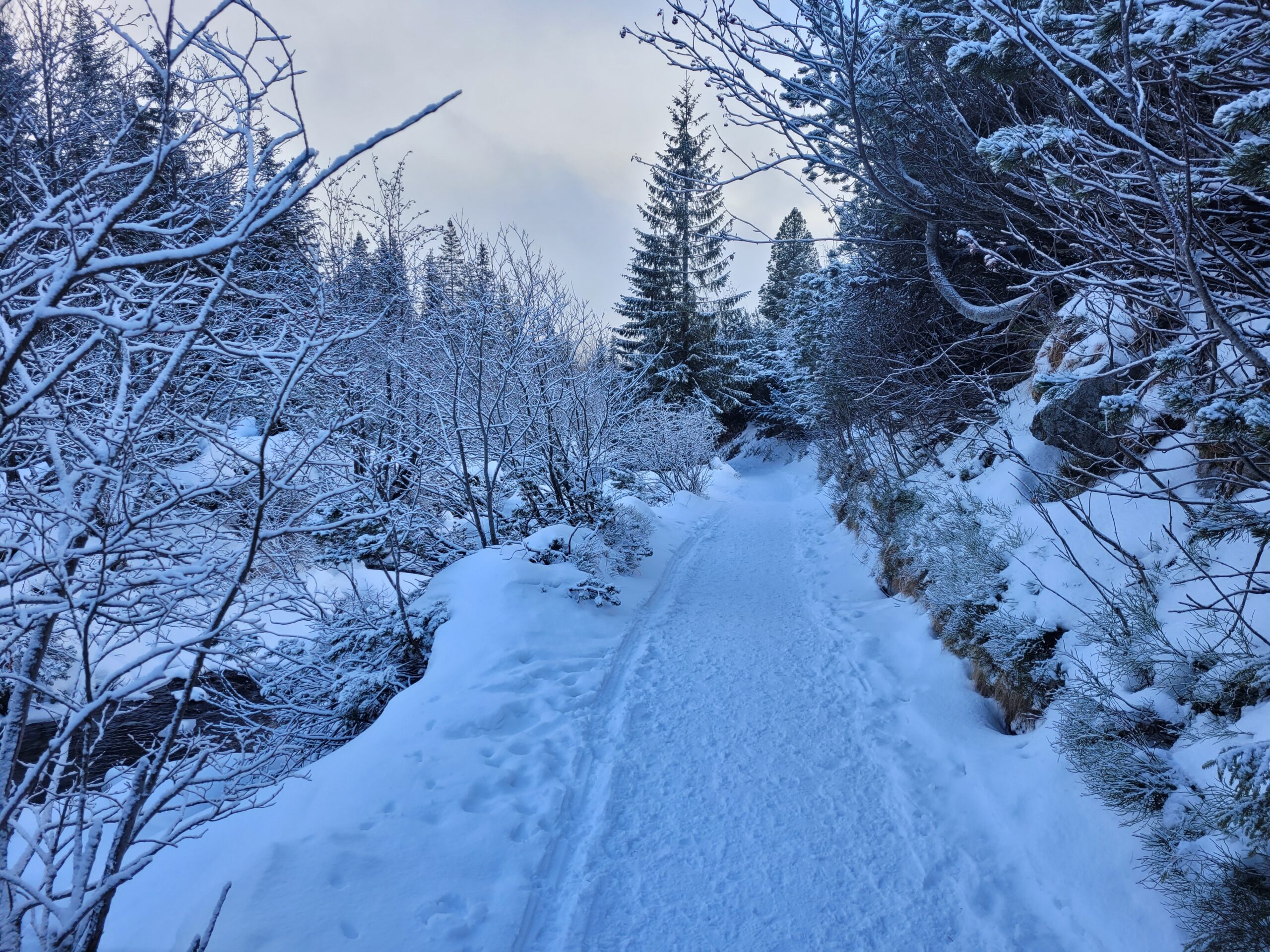 Mesebirodalom: a Zöld-tavi menedékház télen - Hadnagy József erdélyi túrái